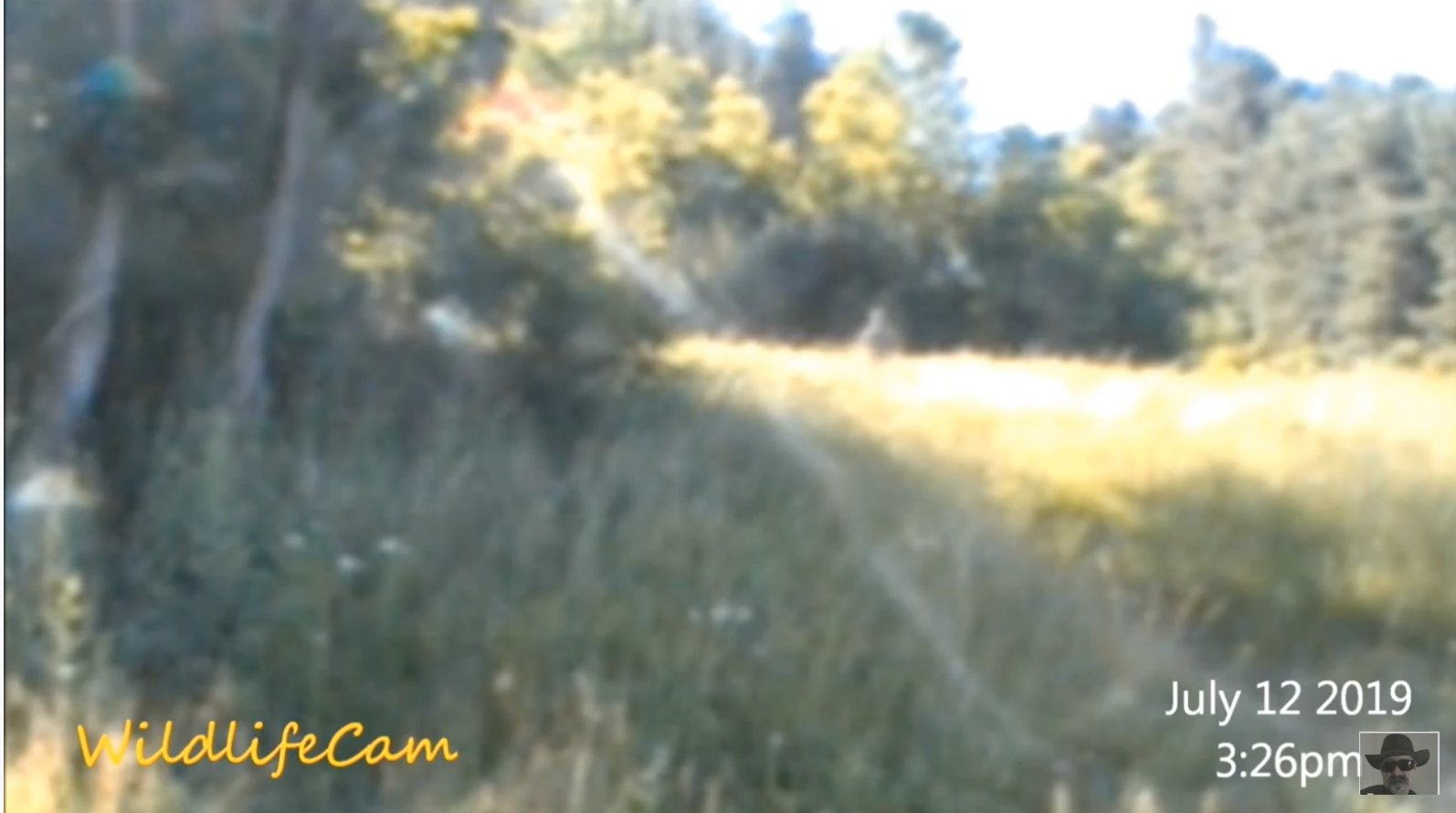 Possible Bigfoot captured at same location in Ohio as another famous ...