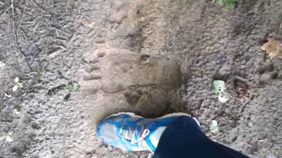 GA Hikers Find Huge Foot Print, Bigfoot?