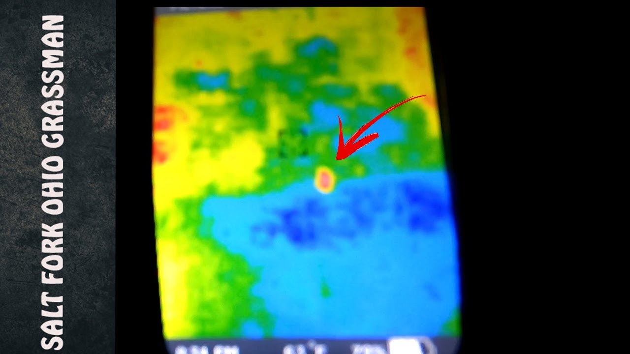 Salt Fork Ohio Grassman Caught On Thermal?