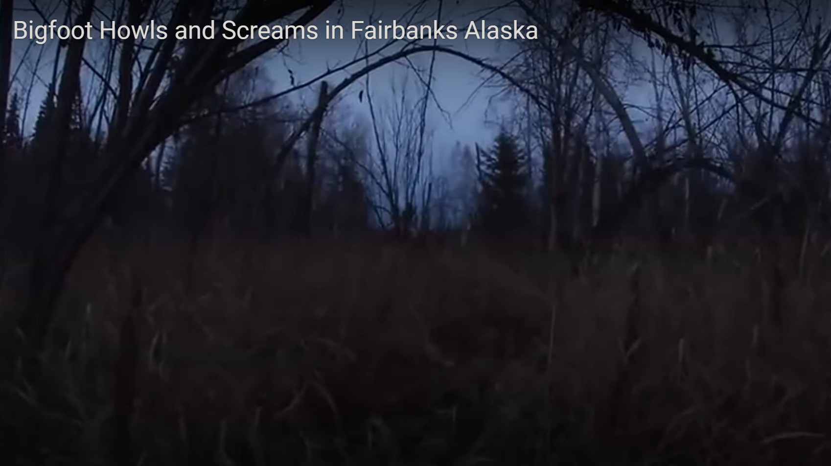 Bigfoot Howls and Screams in Fairbanks Alaska