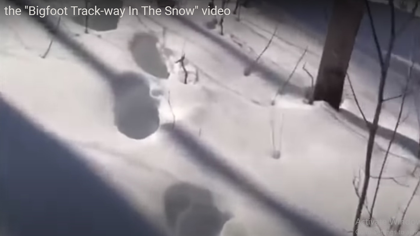 Bigfoot Trackway In The Snow