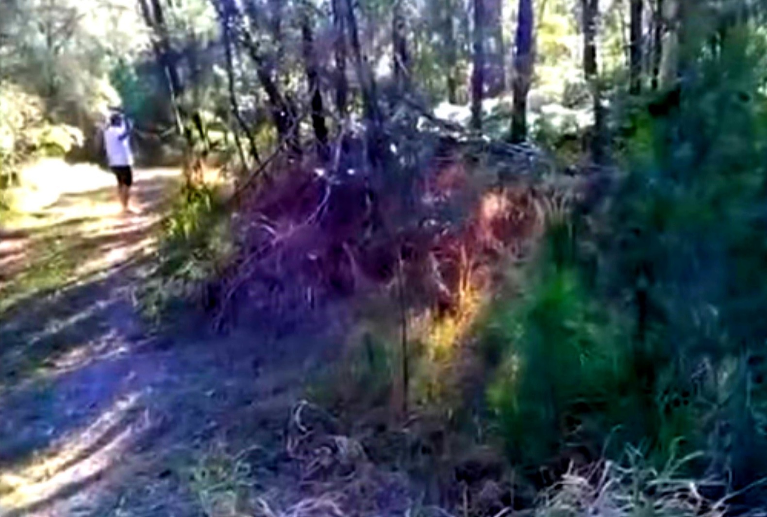 The Bigfoot Howl From The Land Down Under