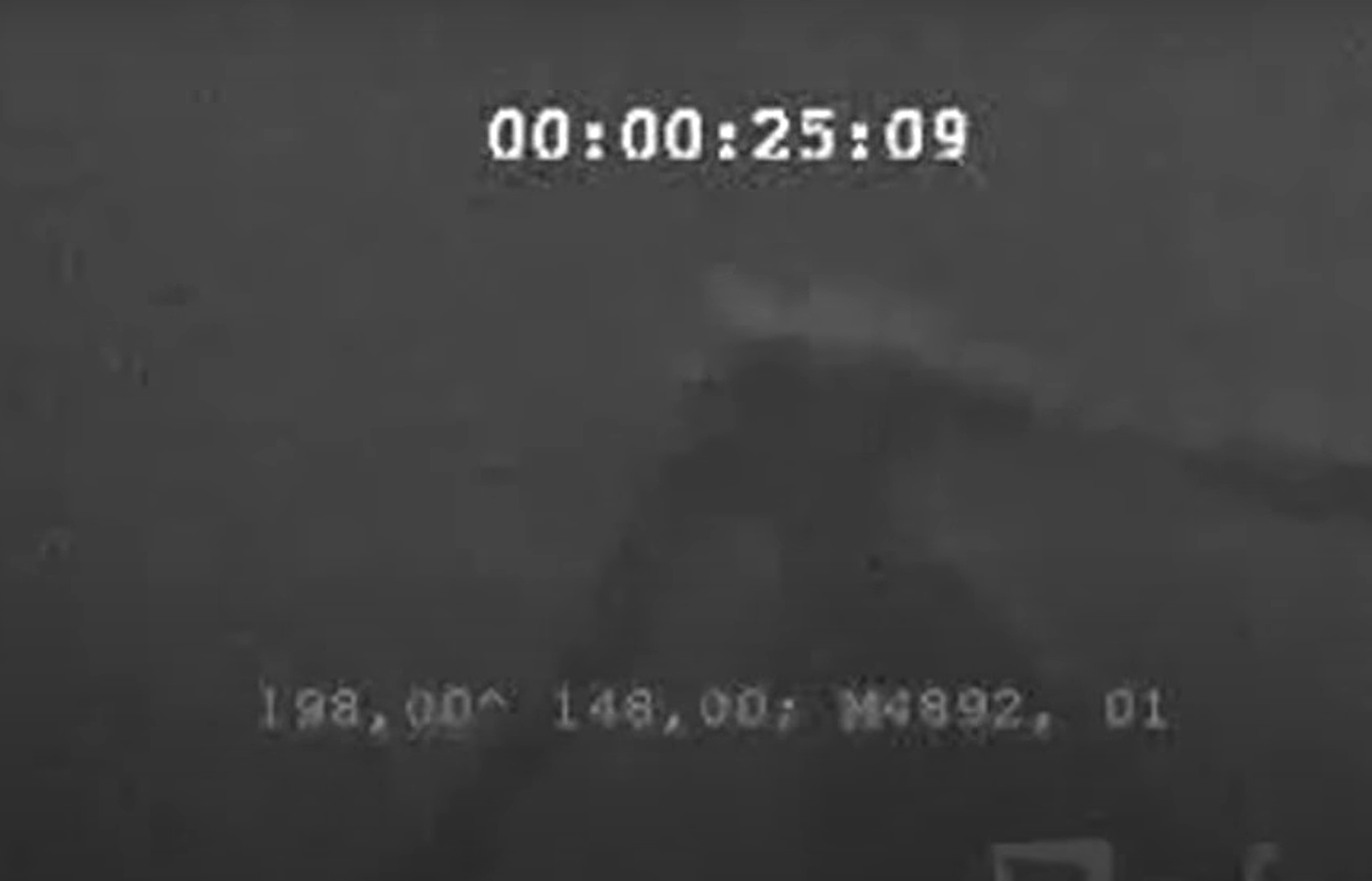 the "Ningen Sea Creature" video