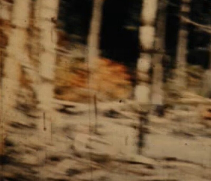Alberta Sasquatch sighting #50044 Voice-over
